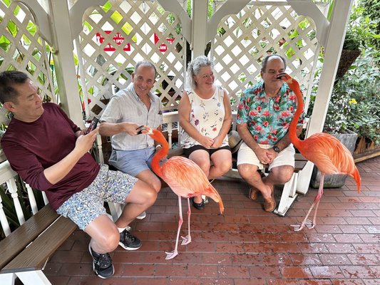 FLAMINGLE - Updated December 2025 - 22 Photos - 1316 Duval St, Key West ...