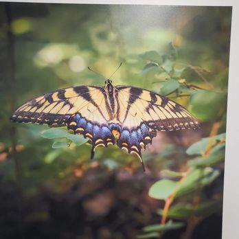 SAM JOHNSON RECREATION CENTER FOR ADULTS 50+ - Updated November 2025 ...