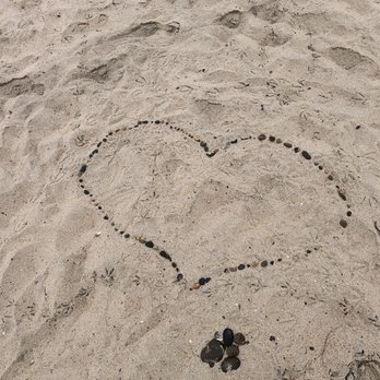 SULPIZIO CARDIOVASCULAR CENTER AT UC SAN DIEGO HEALTH - Updated ...