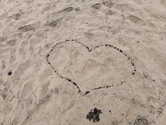 SULPIZIO CARDIOVASCULAR CENTER AT UC SAN DIEGO HEALTH - Updated January ...