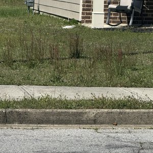 CORNER PROPERTY MANAGEMENT - Updated December 2025 - 33 Reviews - 11 ...