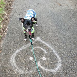 WORTHINGTON COMMUNITY CENTER - Updated June 2025 - 19 Photos & 21 ...