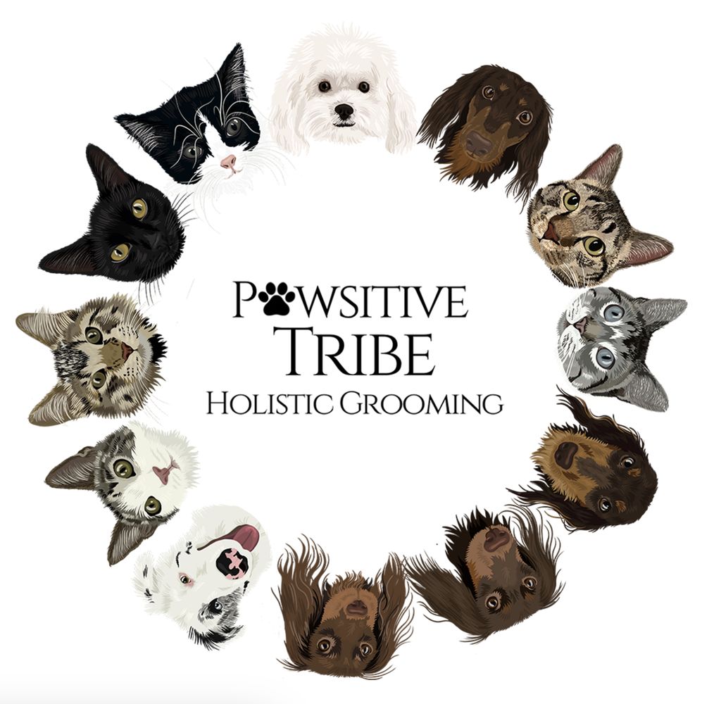 PAWSITIVE TRIBE HOLISTIC GROOMING - Updated September 2025 - 32 Photos ...