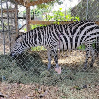 EVERGLADES OUTPOST - Updated December 2025 - 371 Photos & 102 Reviews ...