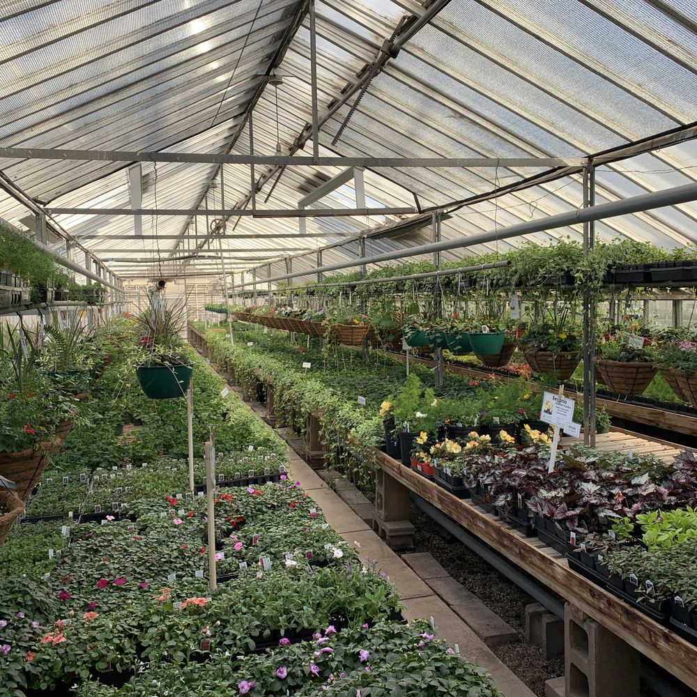 Nursery In Colorado Springs Mary's Home Dream Centers