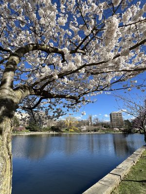 WADE PARK LAGOON - Updated September 2025 - 76 Photos & 19 Reviews ...