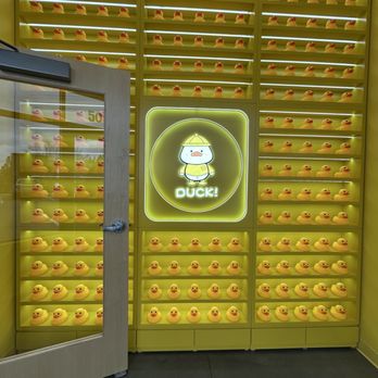 DUCK - Updated December 2025 - 57 Photos & 34 Reviews - 1004 Diffley Rd ...