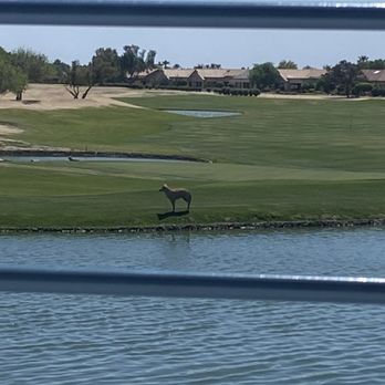 MAPLE & RYE - Updated August 2024 - 75 Photos & 96 Reviews - 15955 W ...