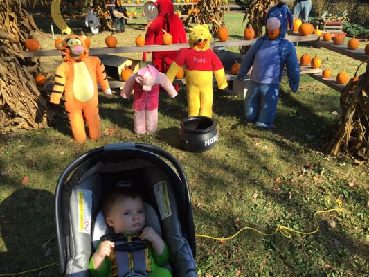 IRON KETTLE FARM - Updated August 2025 - 33 Photos & 18 Reviews - 707 ...