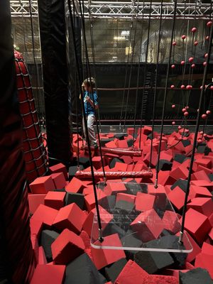 ELEVATED SPORTZ - Updated December 2025 - 178 Photos & 271 Reviews - 18311 Bothell Everett Hwy ...