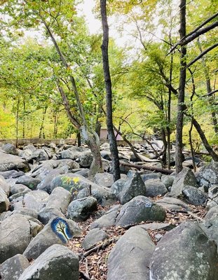 ST. PETER’S VILLAGE - Updated October 2025 - 44 Photos & 12 Reviews ...