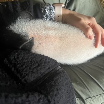 ROSE BRIDGE FARM & SANCTUARY - Updated June 2025 - 226 Photos & 81 ...