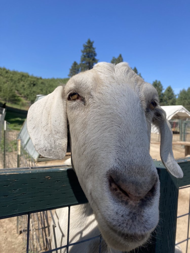 ALTITUDE TRAMPOLINE PARK - SPOKANE - Updated January 2026 - 33 Photos ...