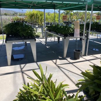 CAL POLY POMONA FARM STORE - Updated October 2025 - 1440 Photos & 225 ...