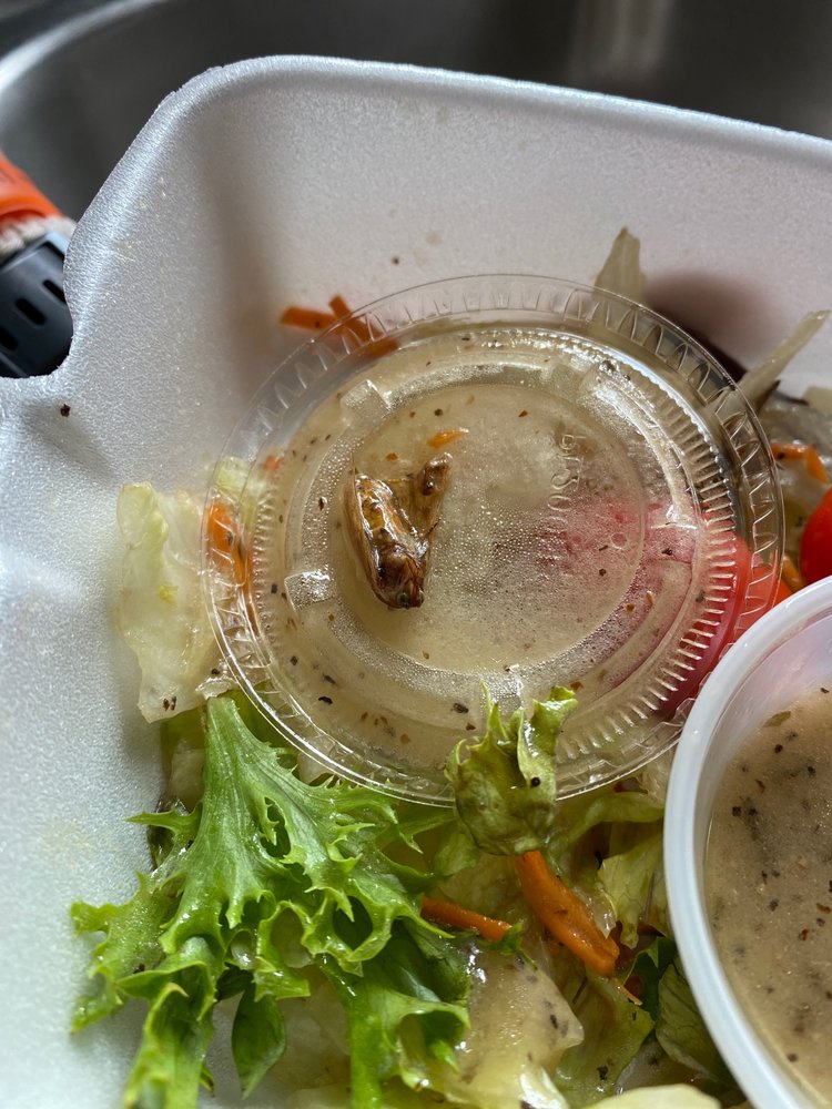 PAPAGALLOS - 75 Photos & 153 Reviews - 9 Monadnock Hwy, Keene, New ...