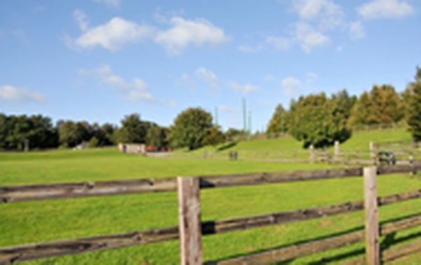 RICHARDSON’S OF FECKENHAM LTD - Foxley Farm Swansbrook Lane, Redditch ...