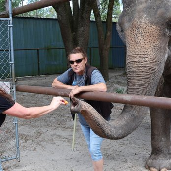 TWO TAILS RANCH - Updated December 2025 - 125 Photos & 94 Reviews ...