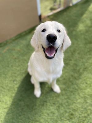 PETS R FAMILY VETERINARY HOSPITAL - Updated December 2024 - 114 Photos ...