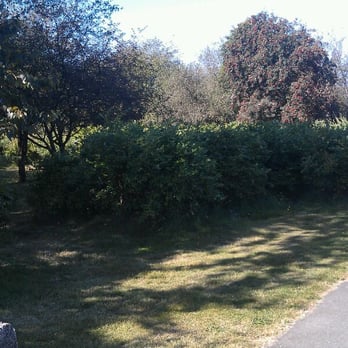 BLUEBERRY PARK - Updated January 2026 - 26 Photos & 14 Reviews - 7417 E ...