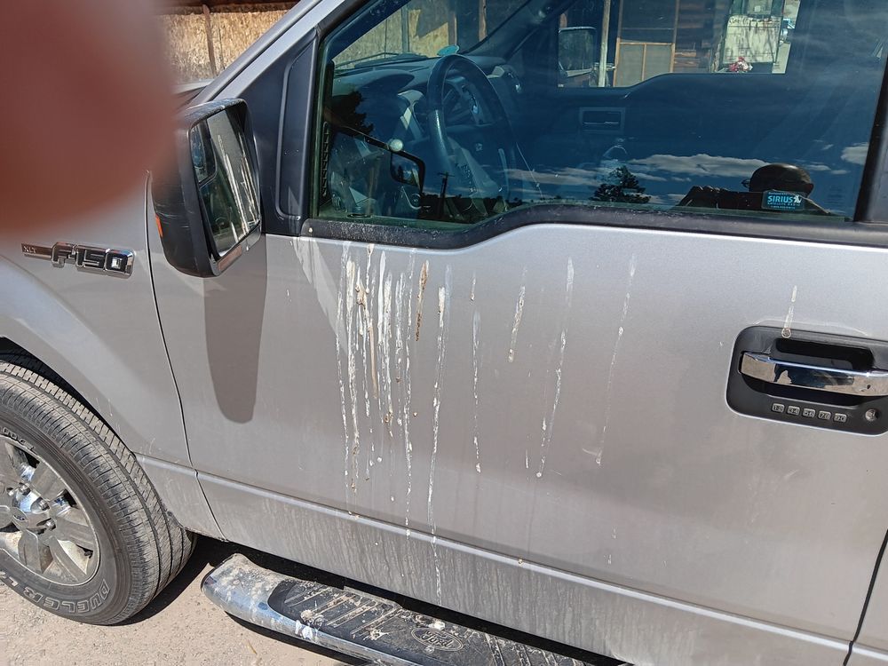 JESS FORD - Updated January 2026 - 14 Photos & 13 Reviews - 522 Midway ...