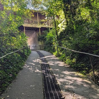 BLUESPRING CAVERNS PARK - Updated October 2025 - 165 Photos & 48 ...