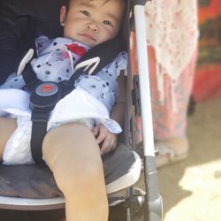 PADUMA MONASTERY - 21 Photos - Buddhist Temples - 8677 Mulberry Ave ...