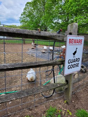 FLAMIG FARM - Updated September 2025 - 393 Photos & 73 Reviews - 7 ...