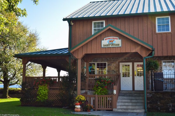 LAPP VALLEY FARMS - 168 Photos & 103 Reviews - Farms - 244 Mentzer Rd ...