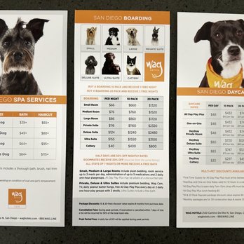 WAG HOTELS - SAN DIEGO - Updated July 2025 - 187 Photos & 249 Reviews ...