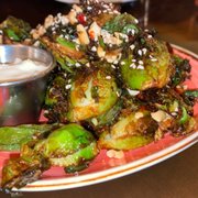 333 BELROSE BAR & GRILL - 142 Photos & 149 Reviews - 333 Belrose Ln ...