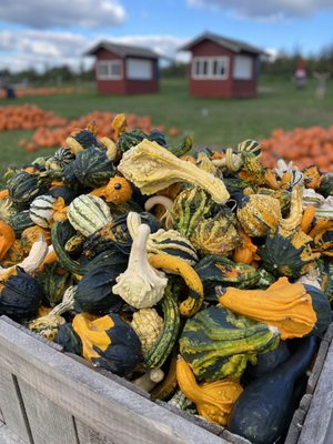 HOLMBERG ORCHARDS - Updated October 2025 - 239 Photos & 93 Reviews - 12 ...