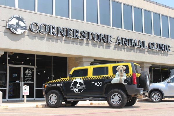 CORNERSTONE ANIMAL CLINIC - Updated August 2024 - 45 Photos & 73 ...