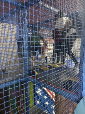 INDIGO PLAY - AUSTIN - Updated October 2025 - 179 Photos & 91 Reviews ...