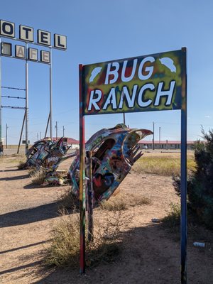 VW SLUG BUG RANCH - Updated April 2025 - 67 Photos & 21 Reviews ...