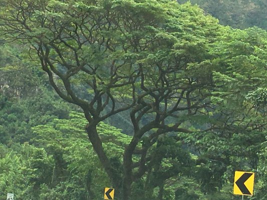 LIKELIKE HIGHWAY - Updated September 2025 - 103 Photos & 18 Reviews ...