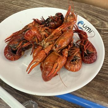 UMI SUSHI & SEAFOOD BUFFET - Updated July 2025 - 667 Photos & 323 ...