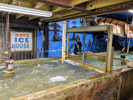 TONY’S SEAFOOD MARKET & DELI - 334 Photos & 275 Reviews - Seafood ...