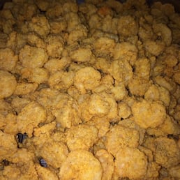 RASCALS CAJUN RESTAURANT - Updated October 2025 - 86 Photos & 73 ...