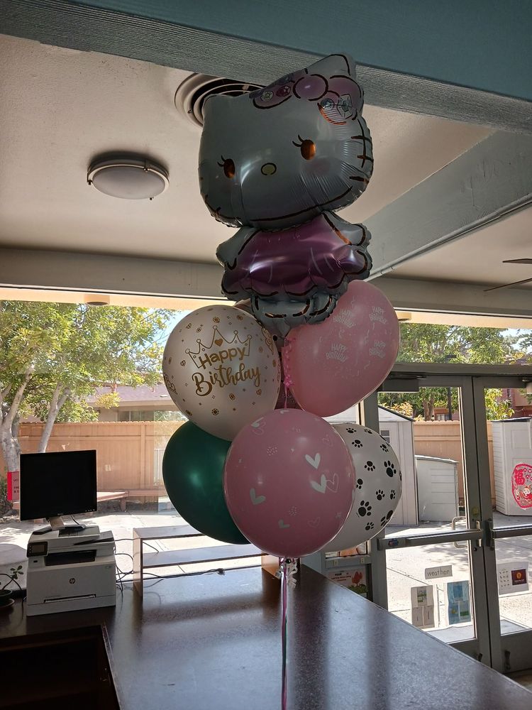 SANTA ANA PARTY SUPPLY - Updated May 2026 - 20 Photos - 1701 E McFadden ...