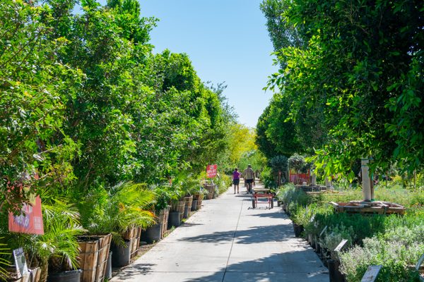 MOON VALLEY NURSERIES - Updated October 2025 - 189 Photos & 147 Reviews - 1828 N 52nd St ...