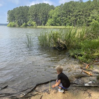 HARRIS LAKE COUNTY PARK - Updated December 2025 - 71 Photos & 23 ...