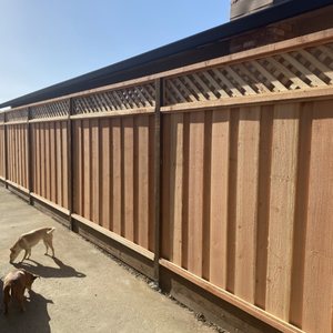 REUBEN BORG FENCE - 683 Photos & 895 Reviews - 2415 San Ramon Valley ...