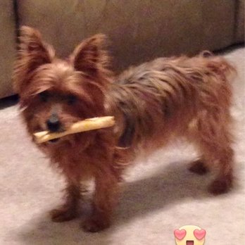 LOW COUNTRY ANIMAL RESCUE - Updated January 2026 - 14 Photos & 35 ...