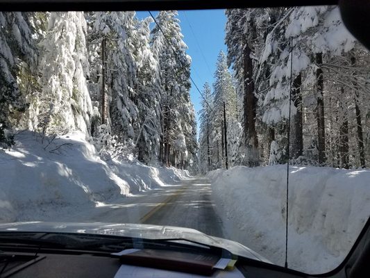 RABBIT CREEK INN - Updated July 2025 - 24 Photos - 1889 Main St, La ...