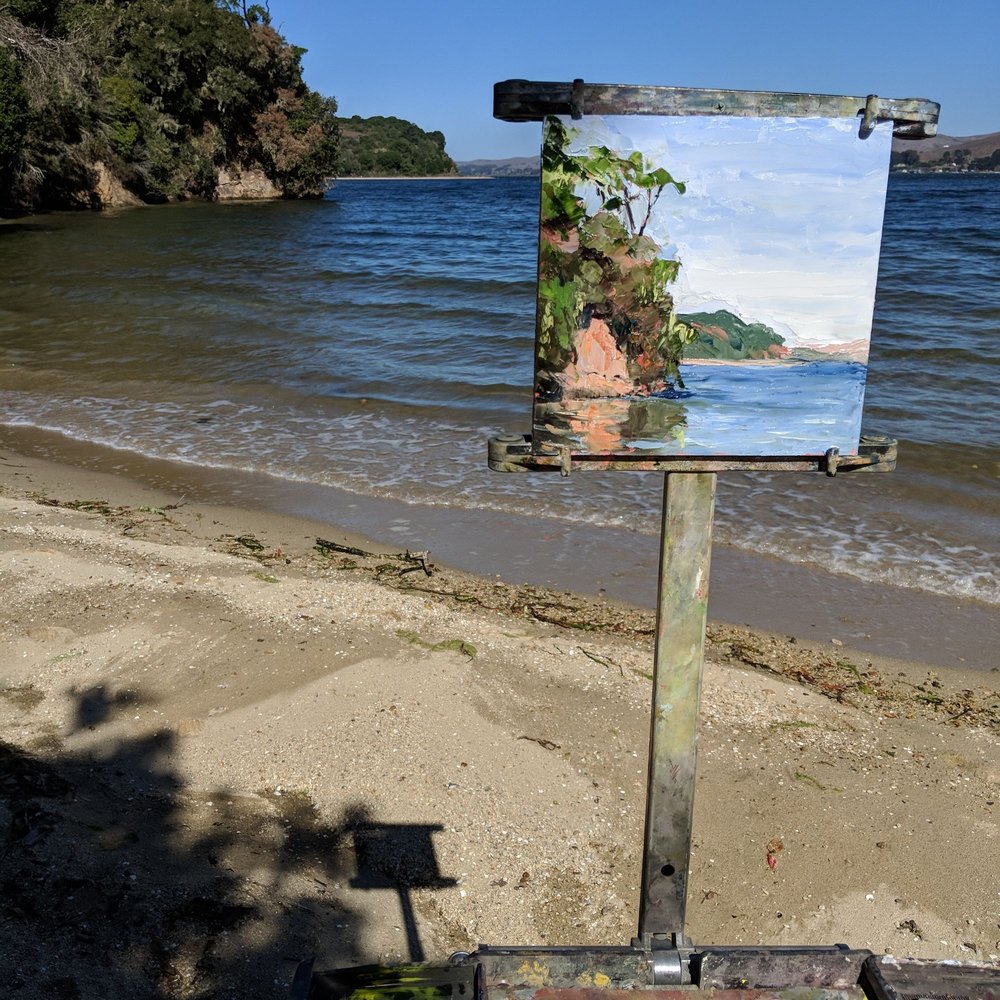 SHELL BEACH - 28 Photos & 15 Reviews - Tomales Bay State Park ...