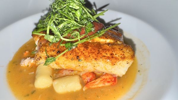 OCEAN PRIME SARASOTA - Updated June 2026 - 91 Photos & 73 Reviews - 501 ...