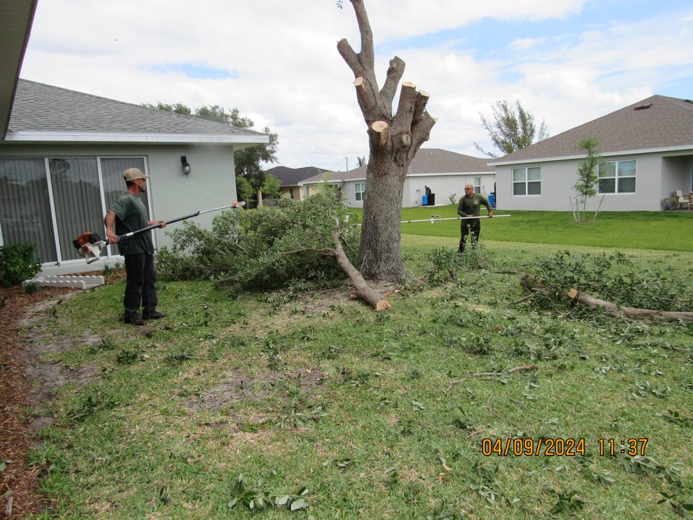 TIM’S TREE SERVICE - Updated May 2025 - 14 Photos & 16 Reviews - 1114 Lenox Ct, Cape Coral ...