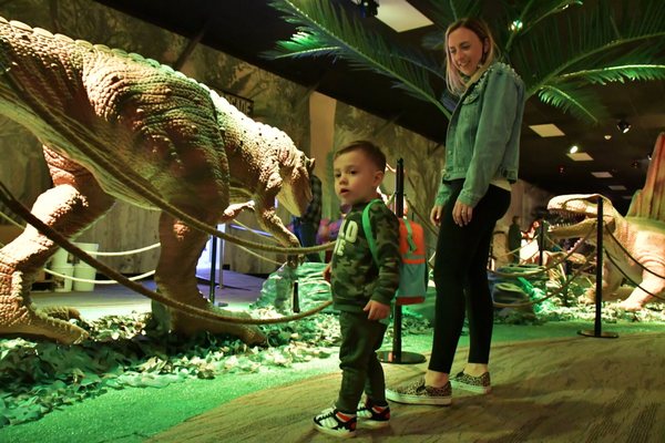 Jurassic Gardens Updated May 2025 44 Photos 27582 Volo Village Rd Volo Illinois
