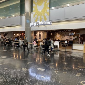 SPRING CHICKEN - MIAMI INTERNATIONAL AIRPORT - Updated August 2024 ...