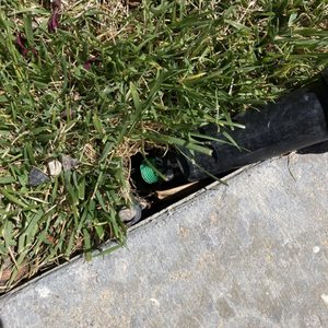 NEVADA COMMUNITY MANAGEMENT - Updated October 2025 - 18 Photos & 66 ...